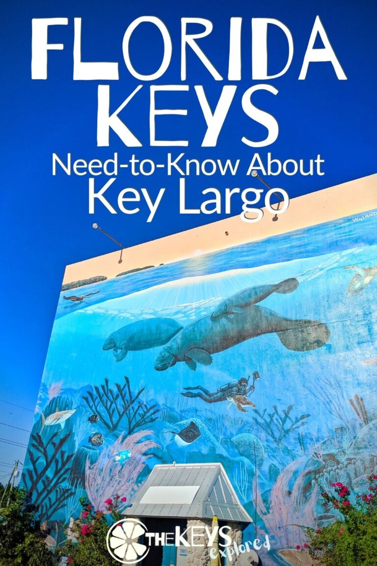 Visiting Key Largo: Everything You Need to Know about the Start of the ...