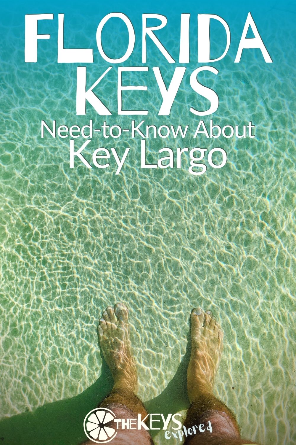 Visiting Key Largo: Everything You Need to Know about the Start of the ...