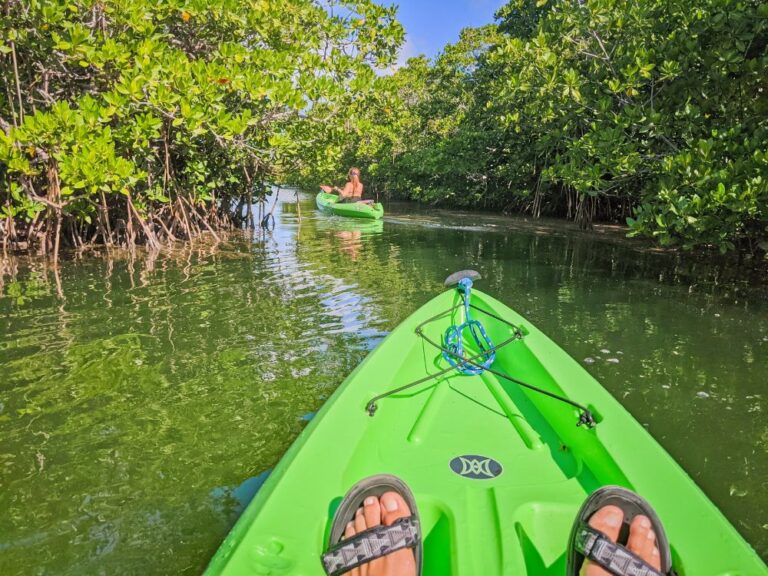 Guide to John Pennekamp Coral Reef State Park, Key Largo in the Florida ...