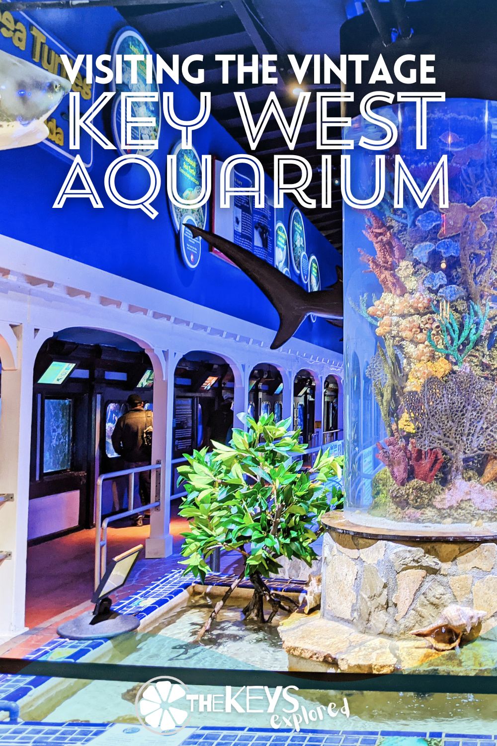The Key West Aquarium: Vintage, Family Friendly Fun Downtown