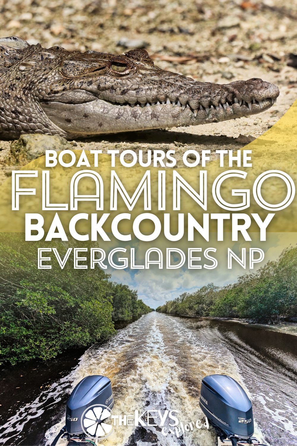 Exploring Everglades NP - Flamingo Backcountry Boat Tour