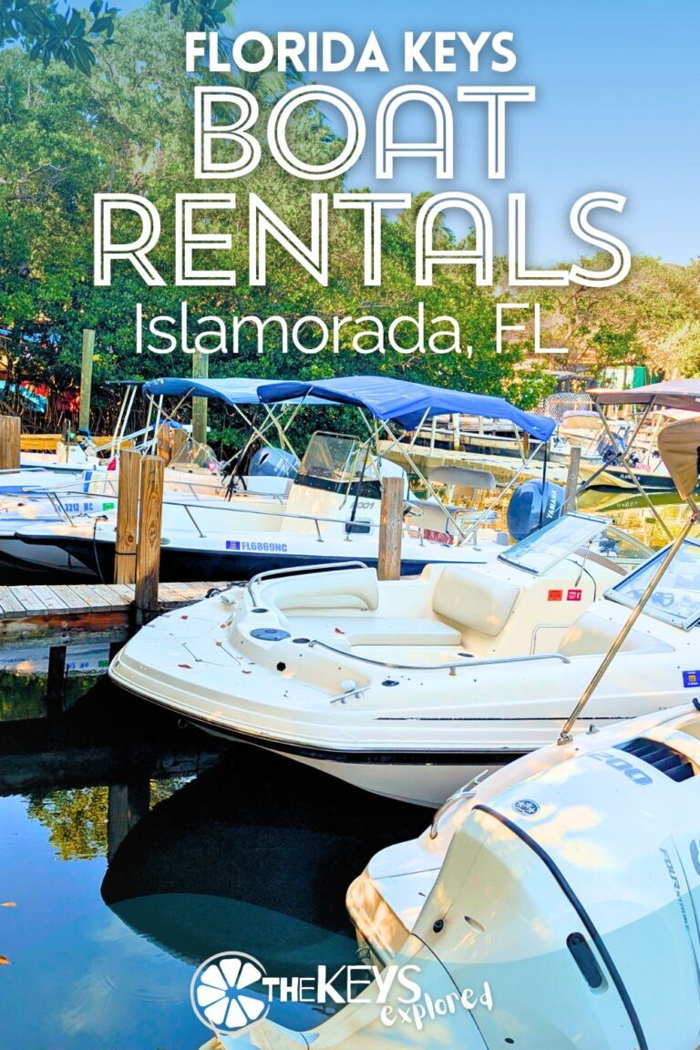 Florida Keys Boat Rentals: Exploring the Backwaters on Your Own