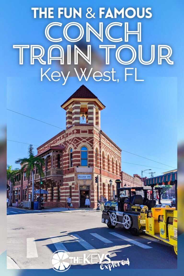 The Famous Conch Train Tour of Key West: Tips for a Fun, Quirky ...