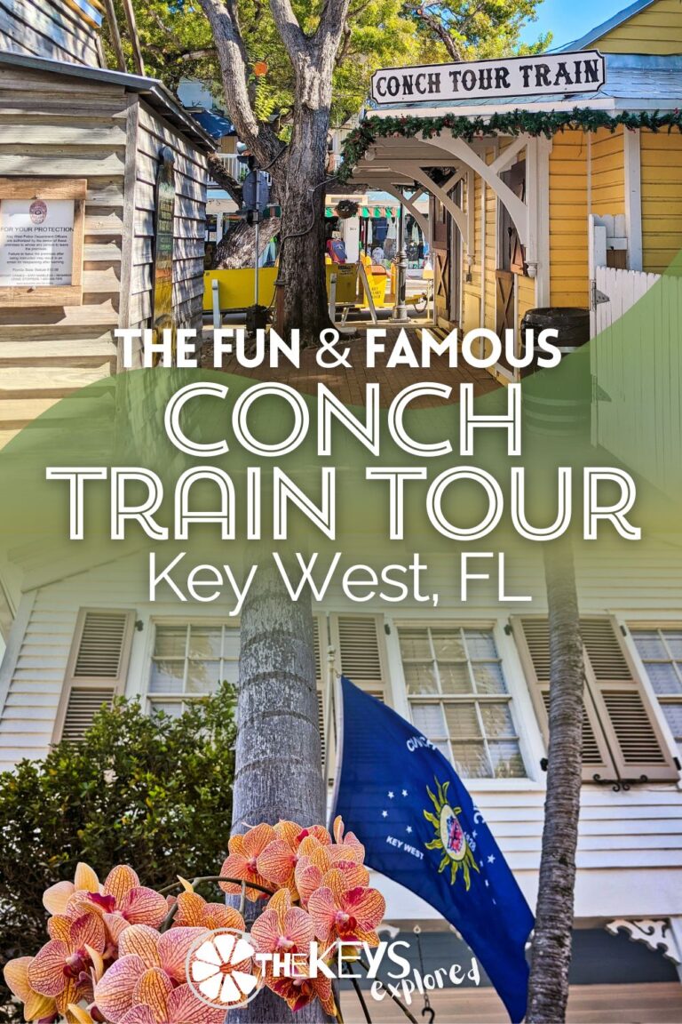 The Famous Conch Train Tour of Key West: Tips for a Fun, Quirky ...