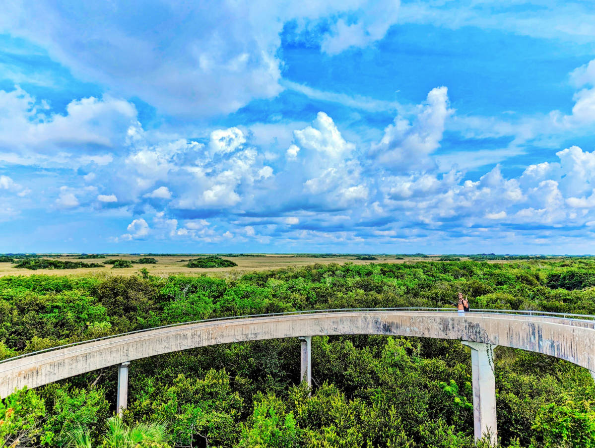Biking in Everglades National Park: Exploring the Beautiful Shark Valley