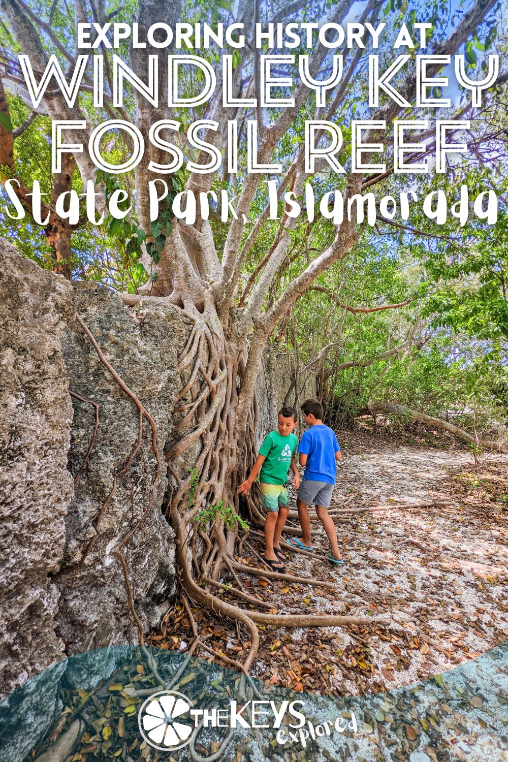 Windley Key Fossil Reef State Park: Everything You Need to Know