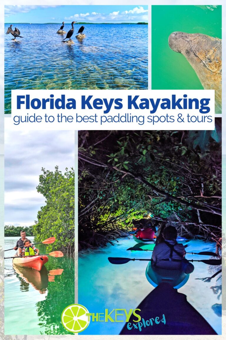 Best Florida Keys Kayaking: Beautiful Spots from Key Largo to Key West ...