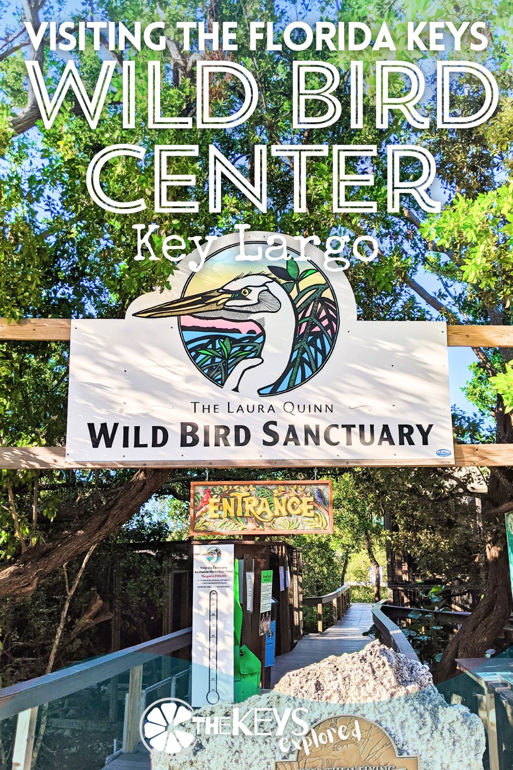 Florida Keys Wild Bird Center and Sanctuary on Key Largo